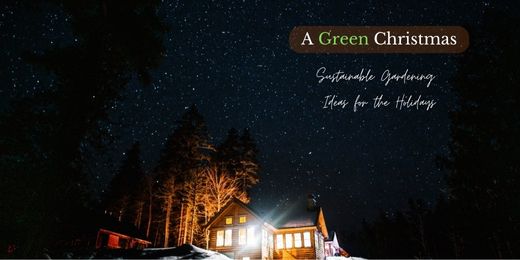 A Green Christmas: Sustainable Gardening Ideas for the Holidays ...