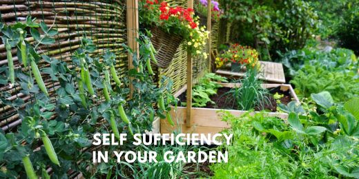 Self Sufficiency in Your Garden - Indoor Outdoors