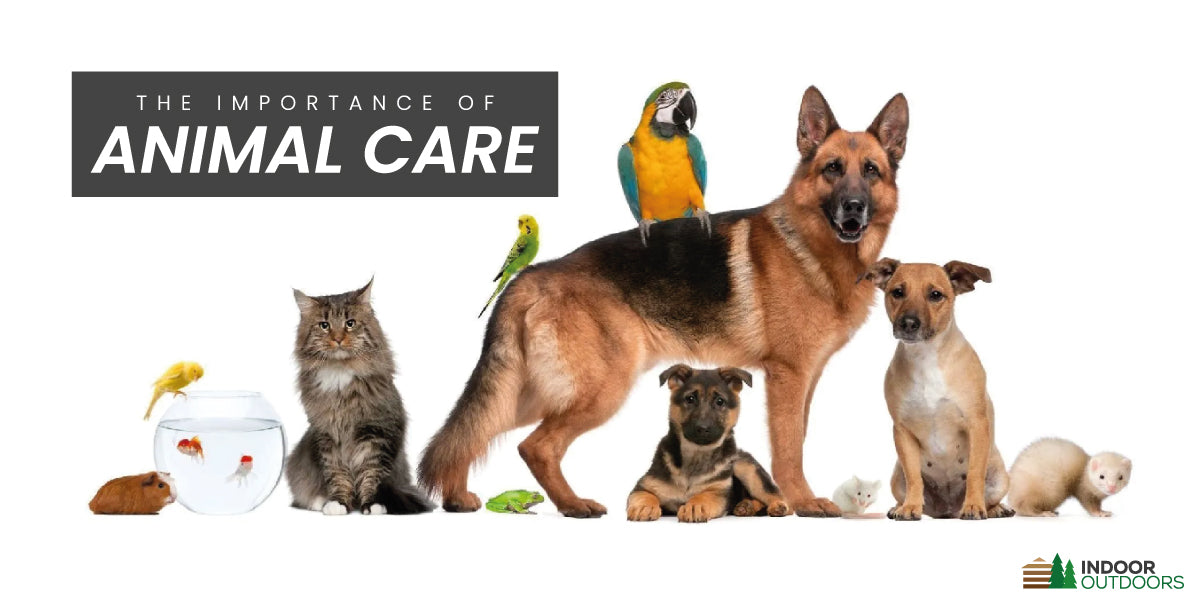 Your Pet's Well-Being in Your Hands: The Importance of Proper Animal C ...