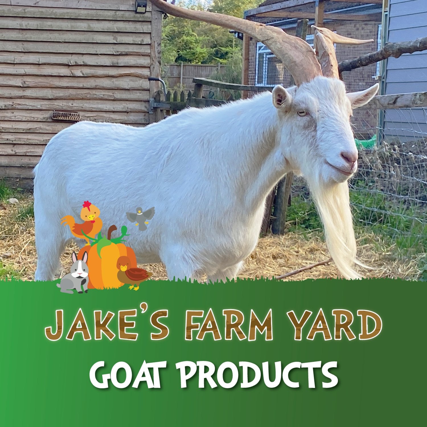 Goat Products - Feeders, Enrichment Toys, Accessories