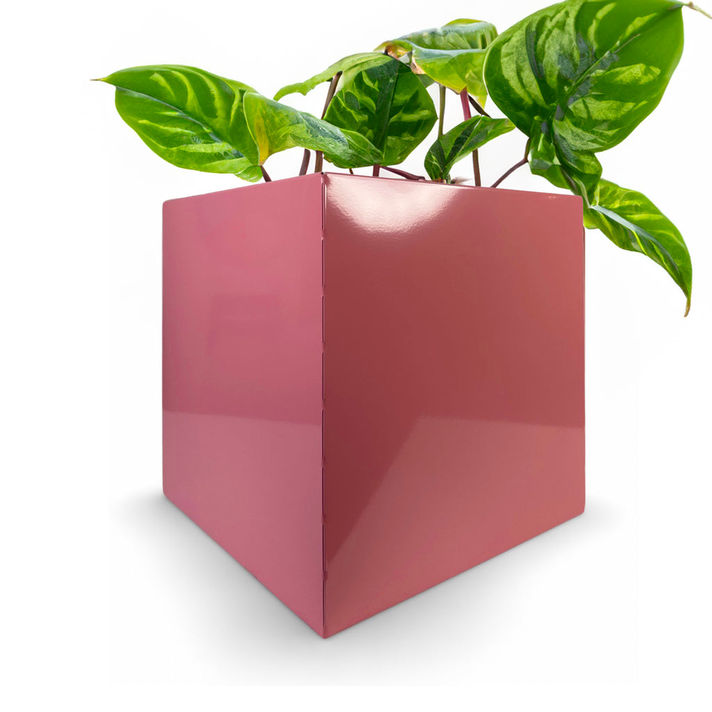 Storage Cube - Planter Cube - Multi-Use Steel Cube from Cubitz