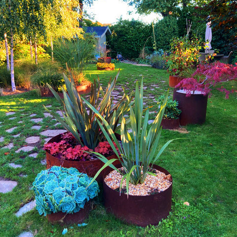 Tree Ring & Rustic Steel Planters - 15 Sizes Available