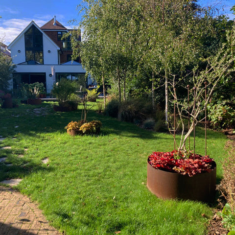 Tree Ring & Rustic Steel Planters - 15 Sizes Available