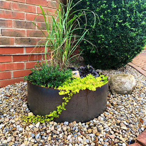 Tree Ring & Rustic Steel Planters - 15 Sizes Available