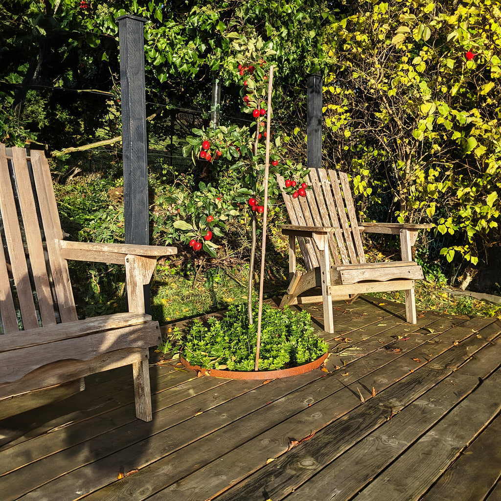 Rustic Steel Planter - 15 Sizes Available - Made in the UK