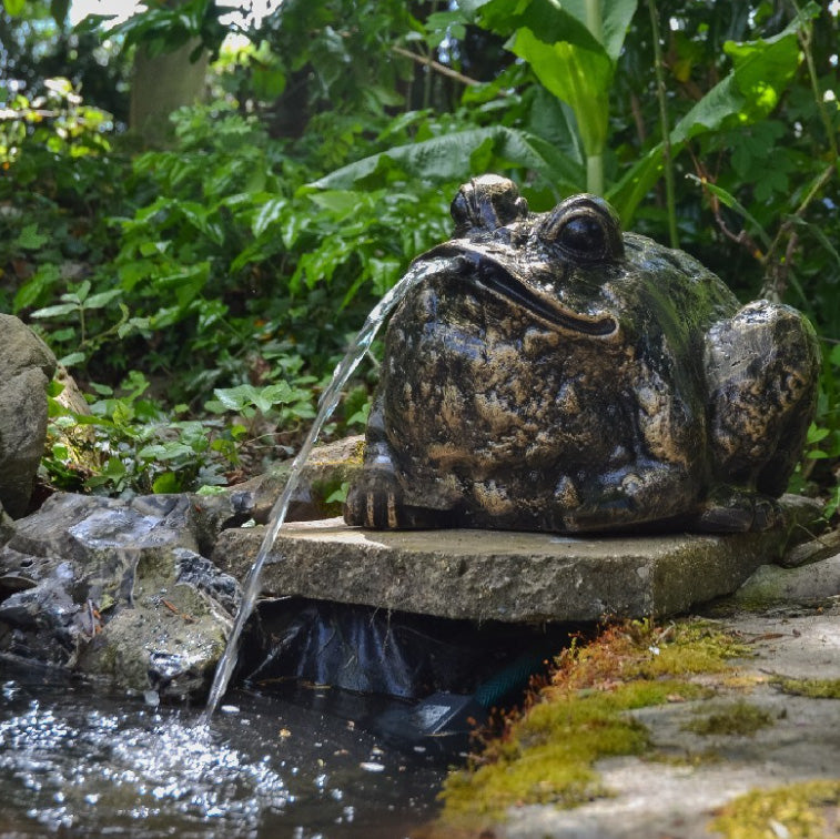 Frog Water Feature Fountain with Bronze Effect Finish - Bullfrog ...