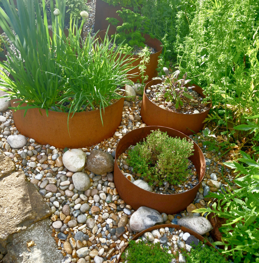 Tree Ring & Rustic Steel Planters - 15 Sizes Available