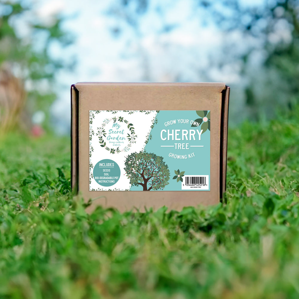 Grow Your Own Cherry Tree Growing Kit - Unique Gift Idea