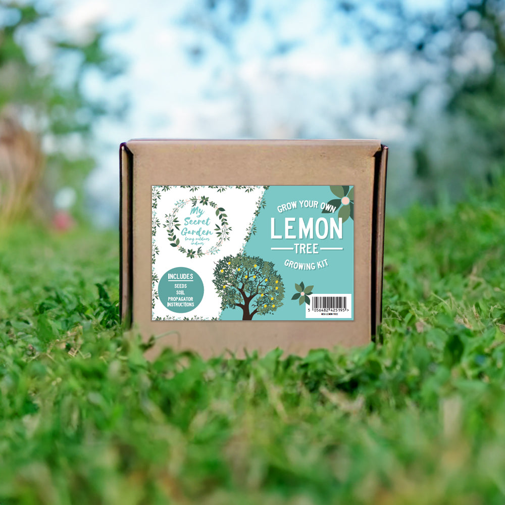 Grow Your Own Lemon Tree Growing Kit - Unique Gift Idea