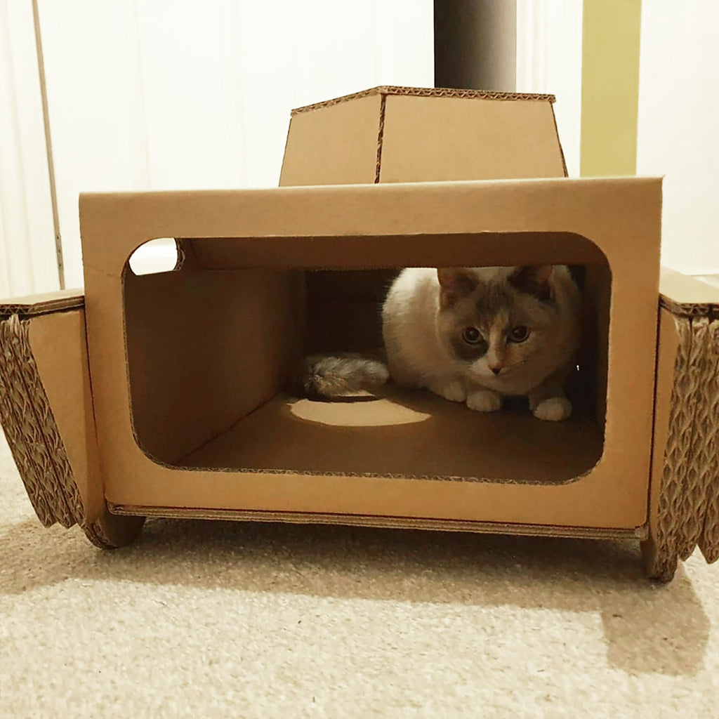 Cardboard Cat Tank - The Ultimate Cat Enrichment Toy