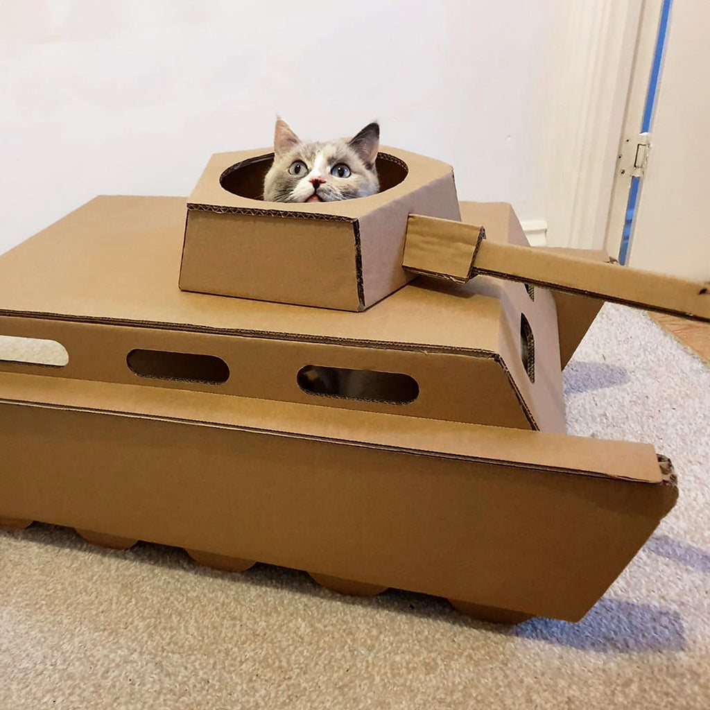 Cardboard Cat Tank - The Ultimate Cat Enrichment Toy