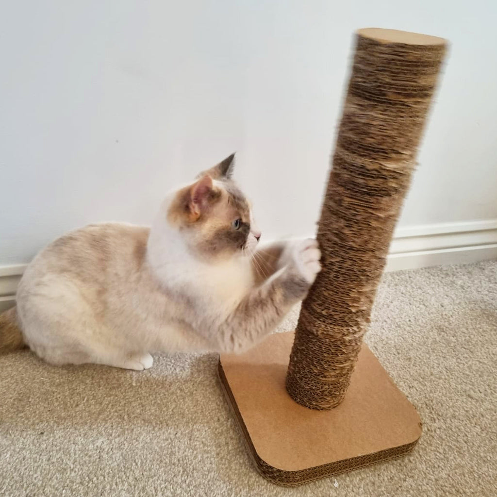 Cat Scratching Post - Recycled Cardboard - Made in the UK