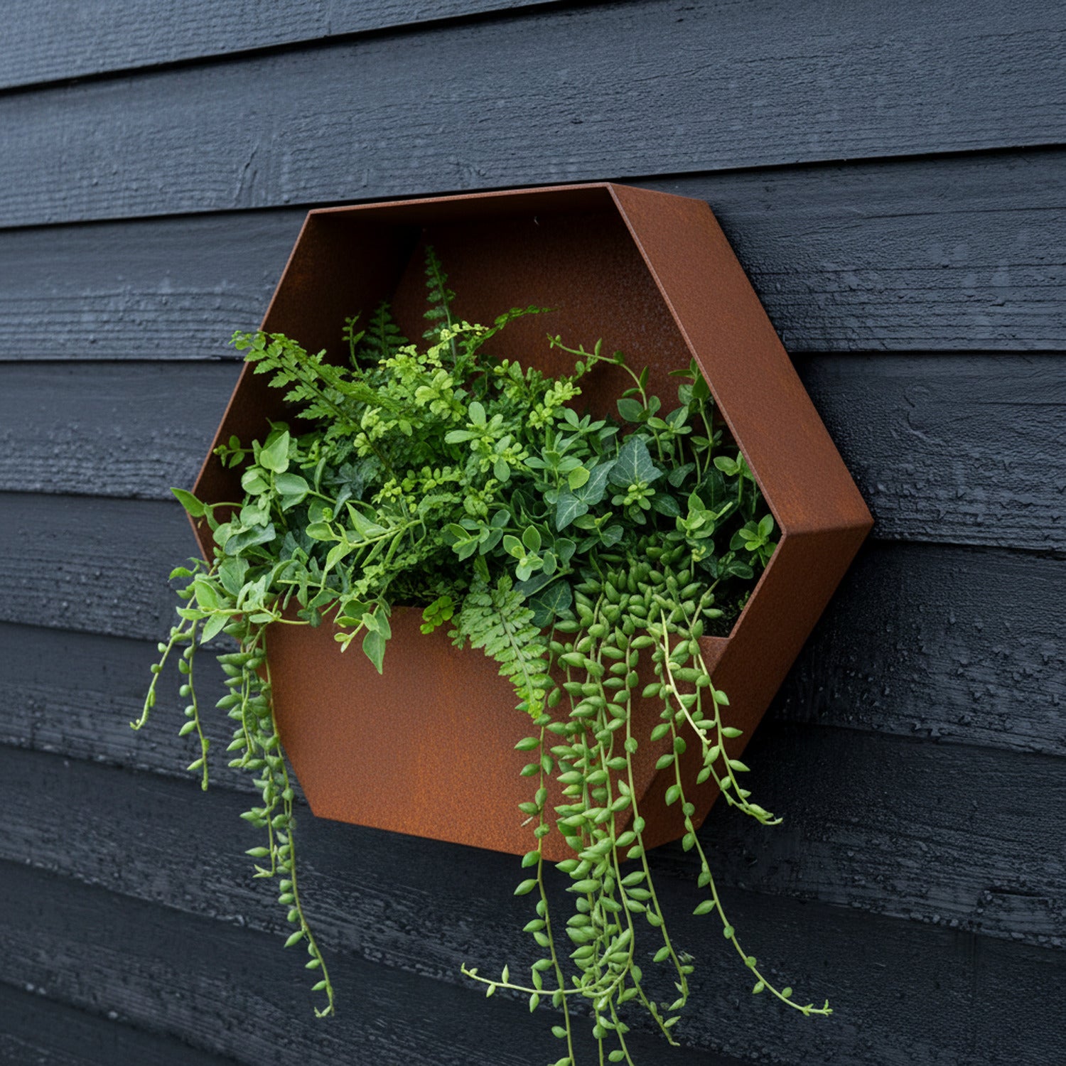 Wall Mount Planter - Hexagon Design - Rustic Steel Finish - Indoor Outdoors