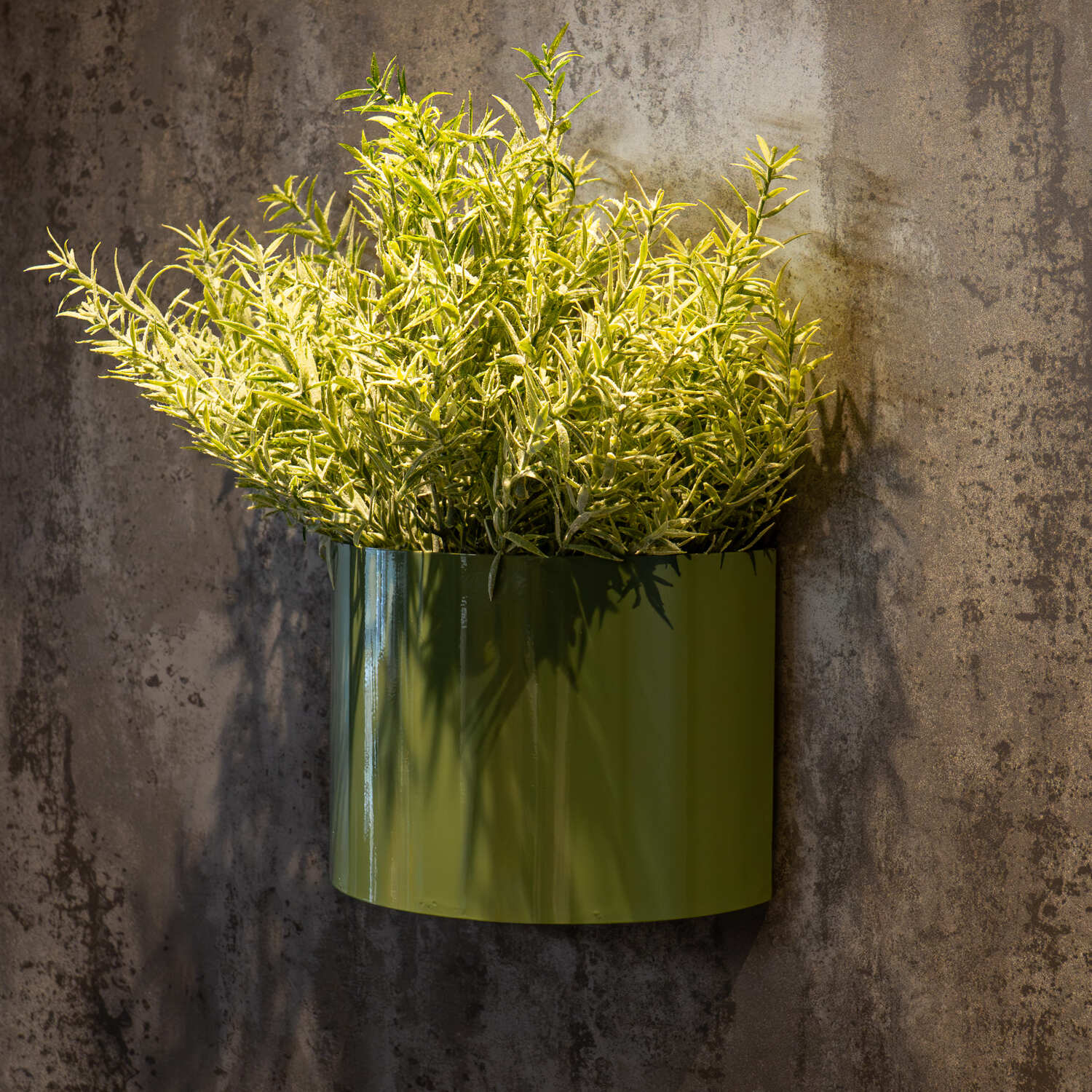 Semi Circle Wall Planter - Sconce Design - Indoor or Outdoor - Indoor ...