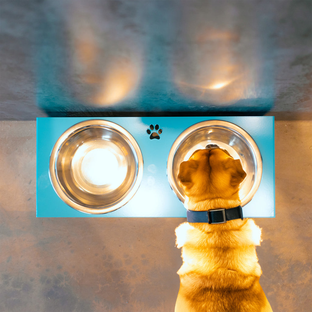 Pet Food Riser - Double Bowl Capacity - Suitable for Cats & Dogs