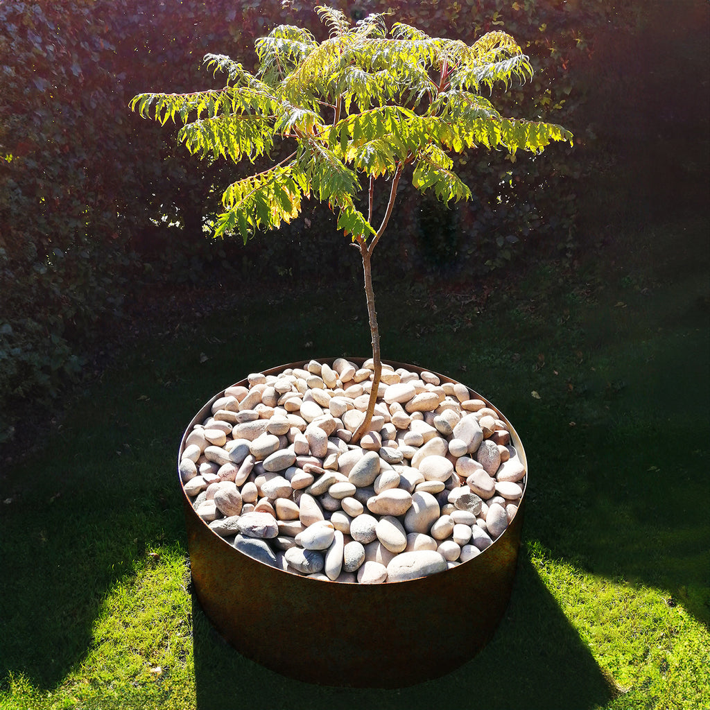 Tree Ring & Rustic Steel Planters - 15 Sizes Available