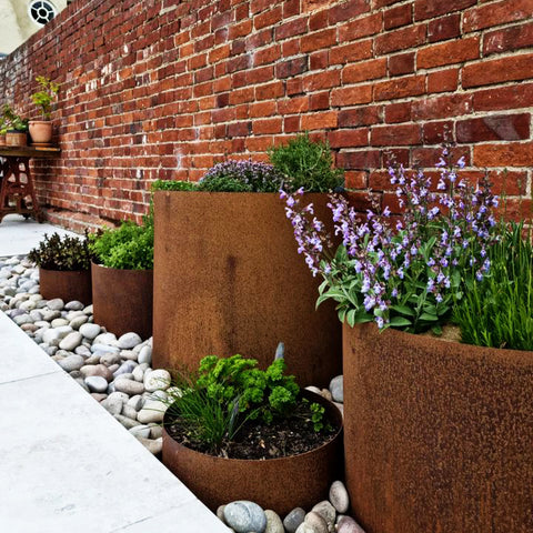 Tree Ring & Rustic Steel Planters - 15 Sizes Available