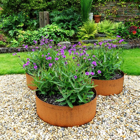 Tree Ring & Rustic Steel Planters - 15 Sizes Available