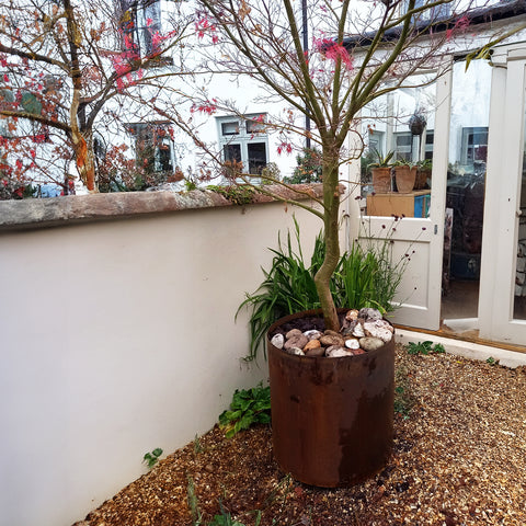 Tree Ring & Rustic Steel Planters - 15 Sizes Available