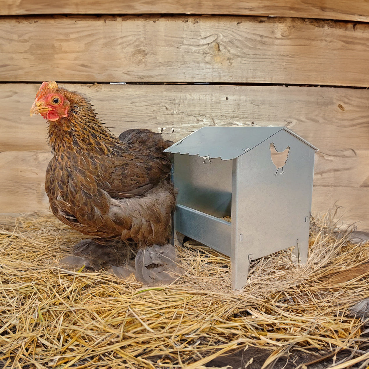 Chicken Feeders, Turkey Feeders & Poultry Feeders - Made in UK