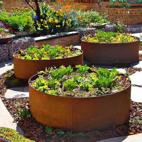 Tree Ring & Rustic Steel Planters - 15 Sizes Available