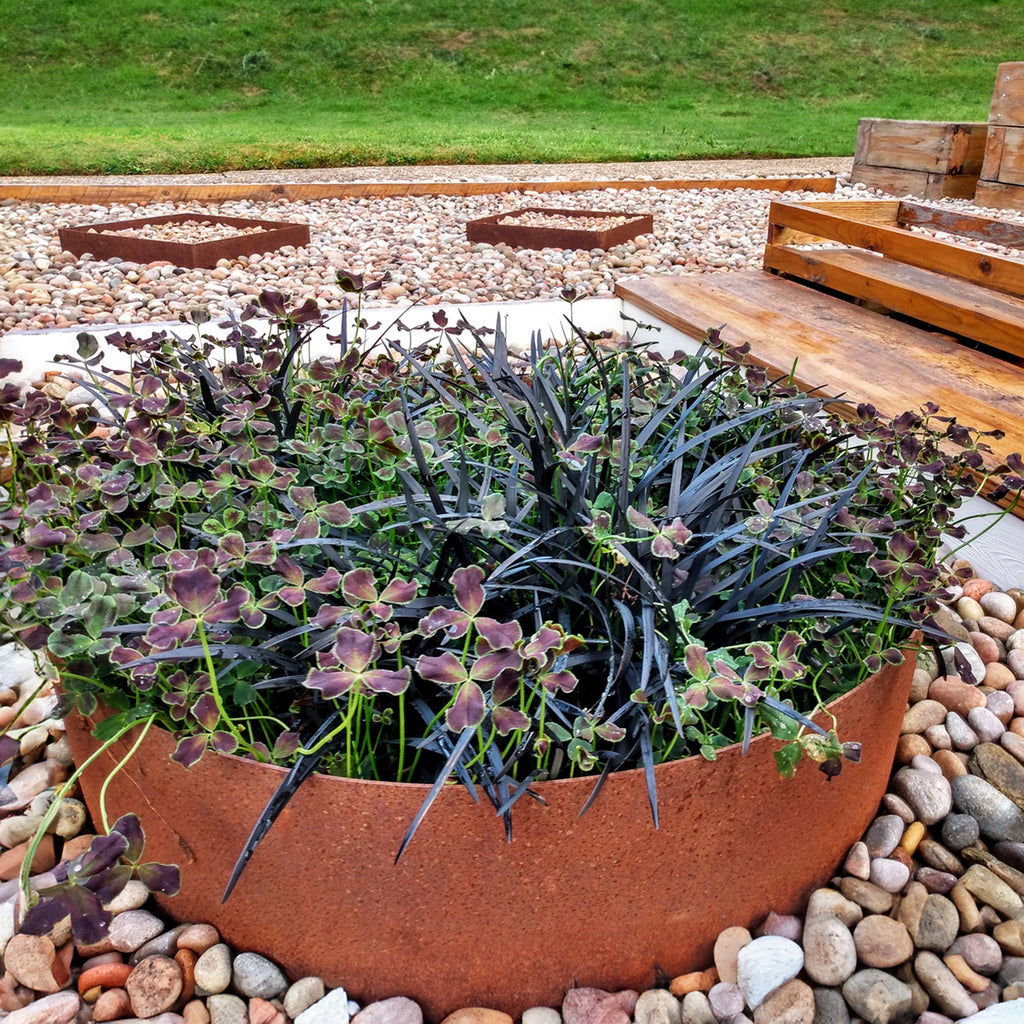 Tree Ring & Rustic Steel Planters - 15 Sizes Available