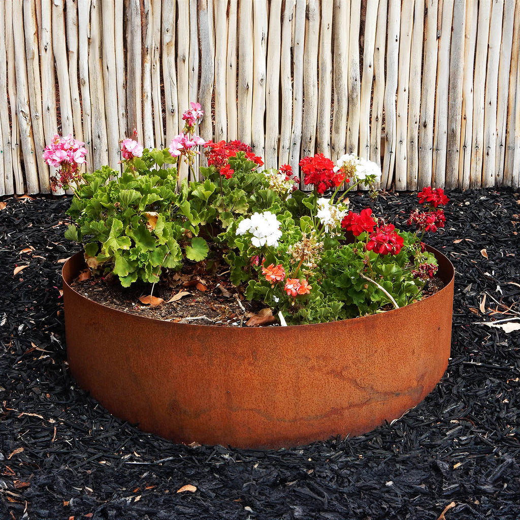 Tree Ring & Rustic Steel Planters - 15 Sizes Available