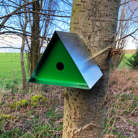 Triangular Bird Box - Suitable for Birds and Small Wildlife