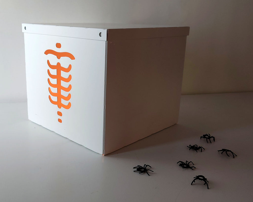 Halloween Box - Storage Box - Candle Box - Spooky Skeleton
