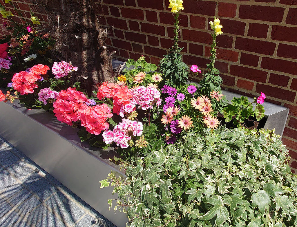 Stainless Steel Planter Trough | Commercial Grade, Made in UK