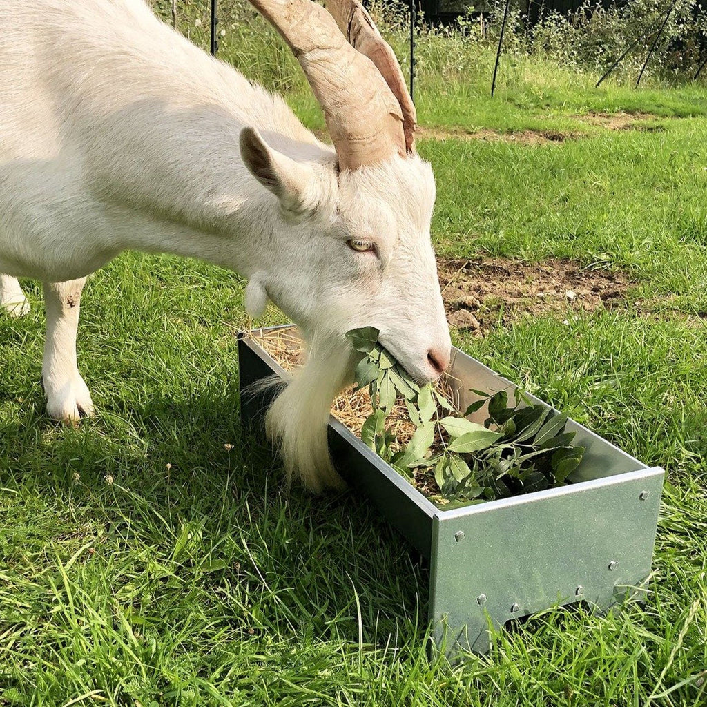 Animal Feeding Trough - Galvanised Steel - Goats, Pigs, Sheep