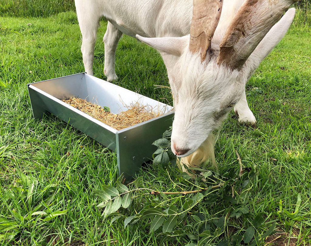 Animal Feeding Trough - Galvanised Steel - Goats, Pigs, Sheep