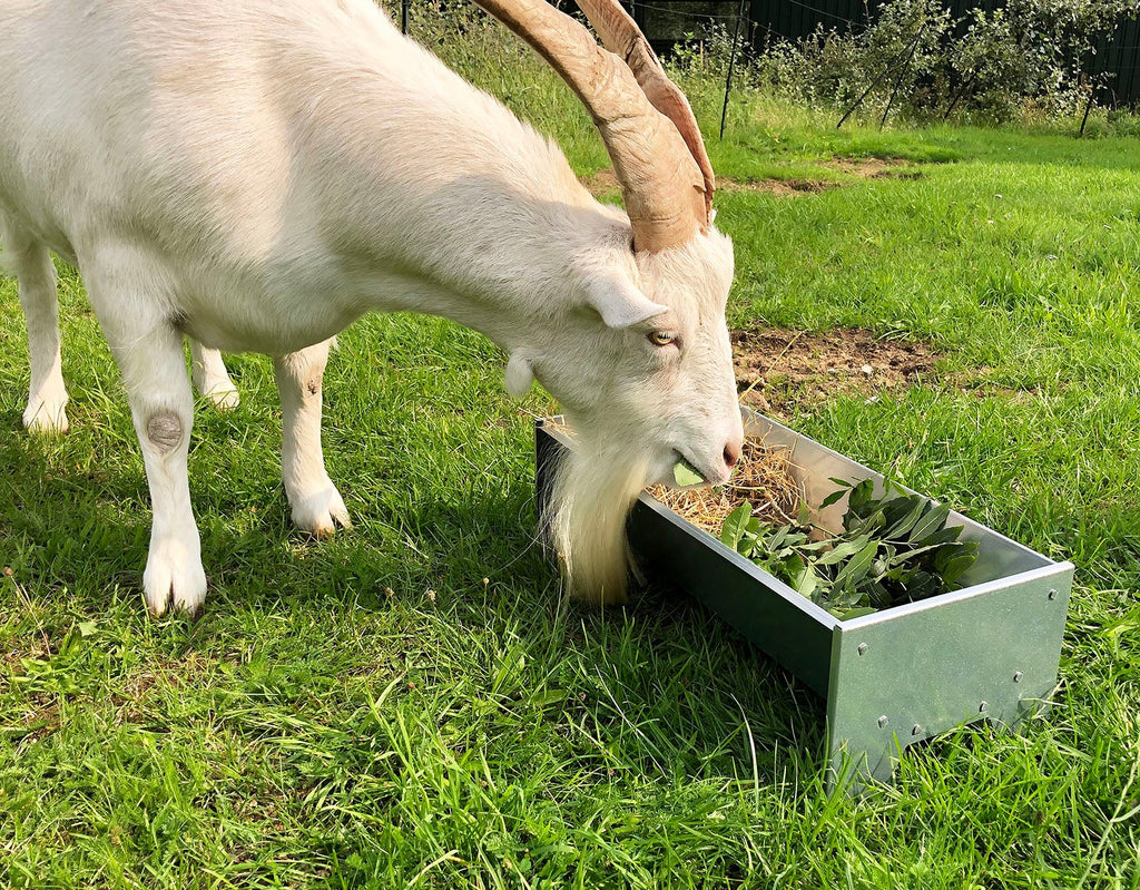 Animal Feeding Trough - Galvanised Steel - Goats, Pigs, Sheep