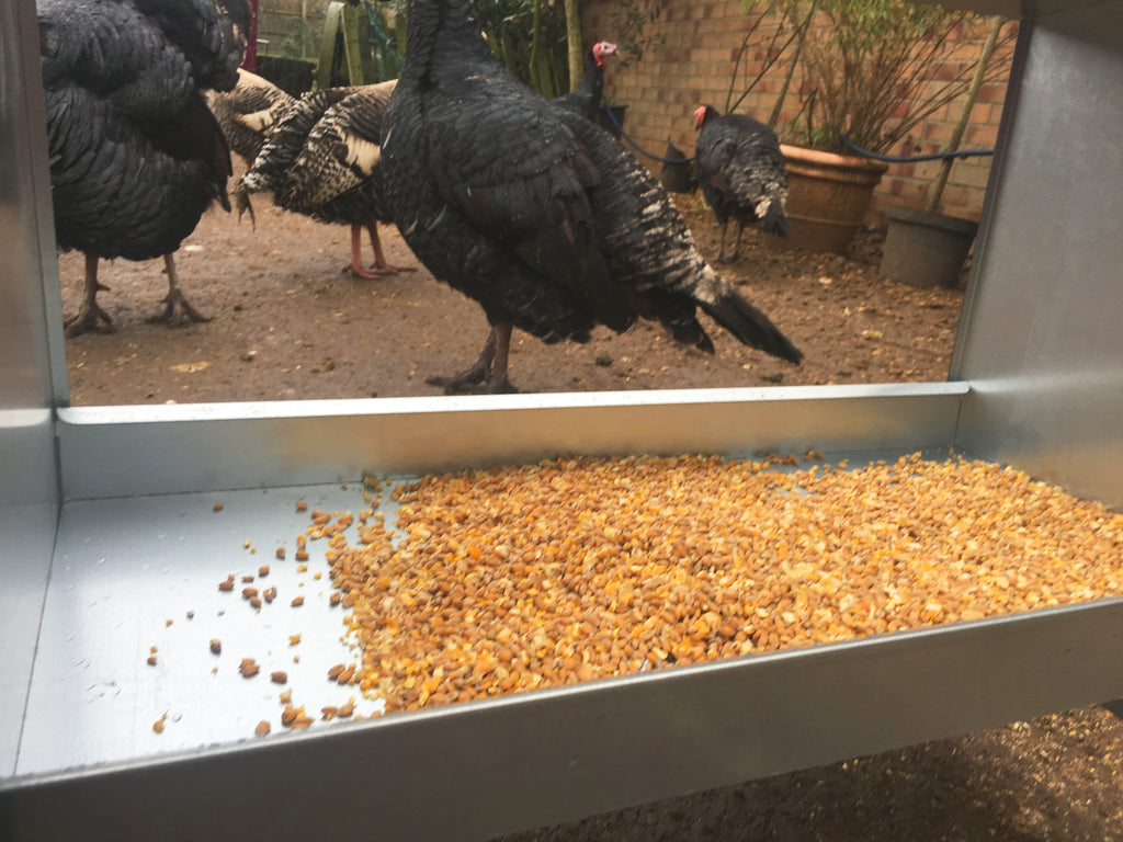 Poultry Feeder | Galvanised Steel, For Large Poultry & Turkeys