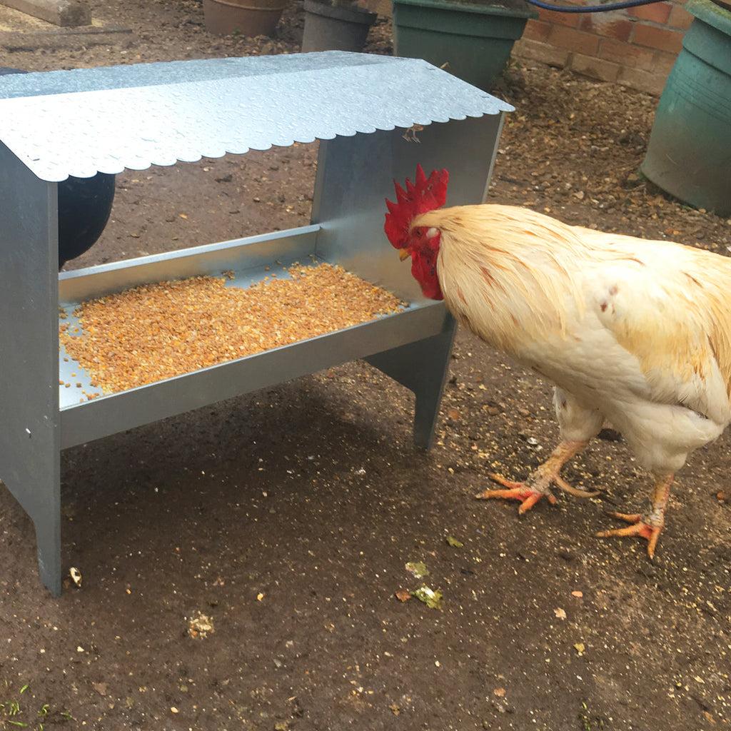 Poultry Feeder | Galvanised Steel, For Large Poultry & Turkeys