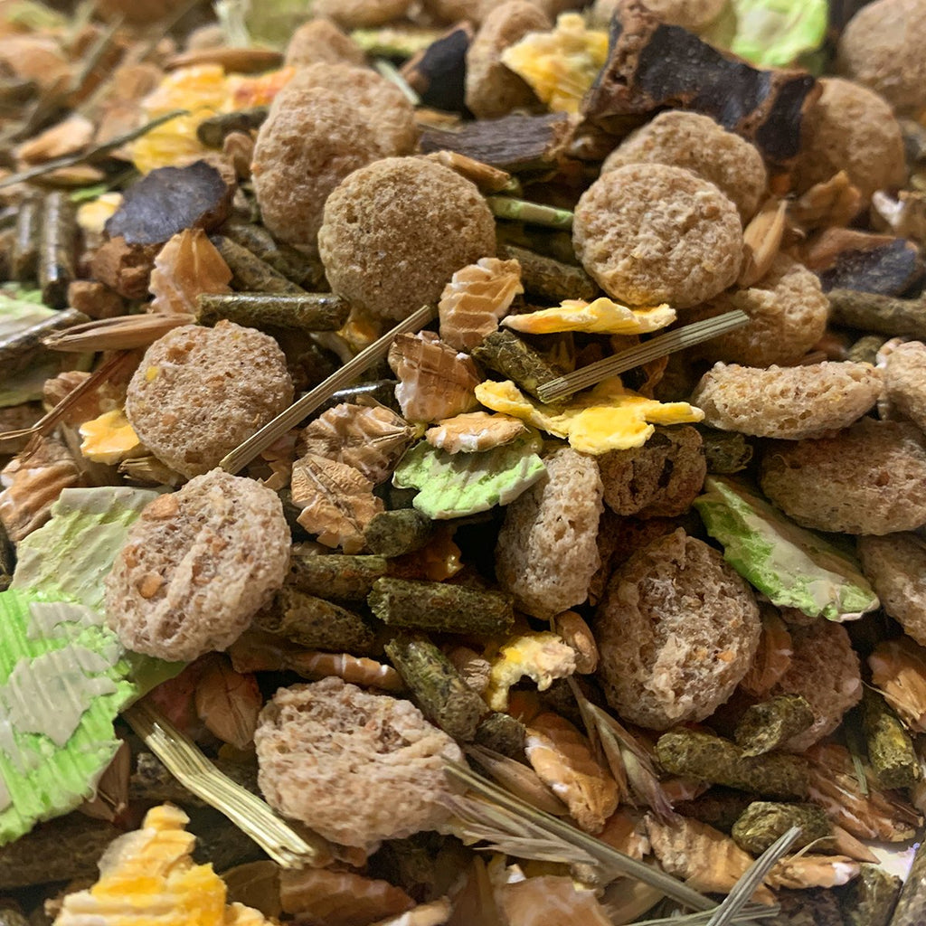 Rabbit Starter Kit from Jake's Farm Yard - Indoor Outdoors