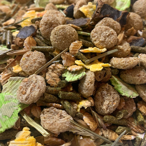 Rabbit Starter Kit from Jake's Farm Yard - Indoor Outdoors