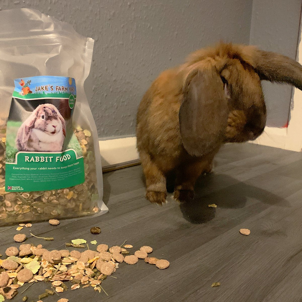 Rabbit Starter Kit from Jake's Farm Yard - Indoor Outdoors