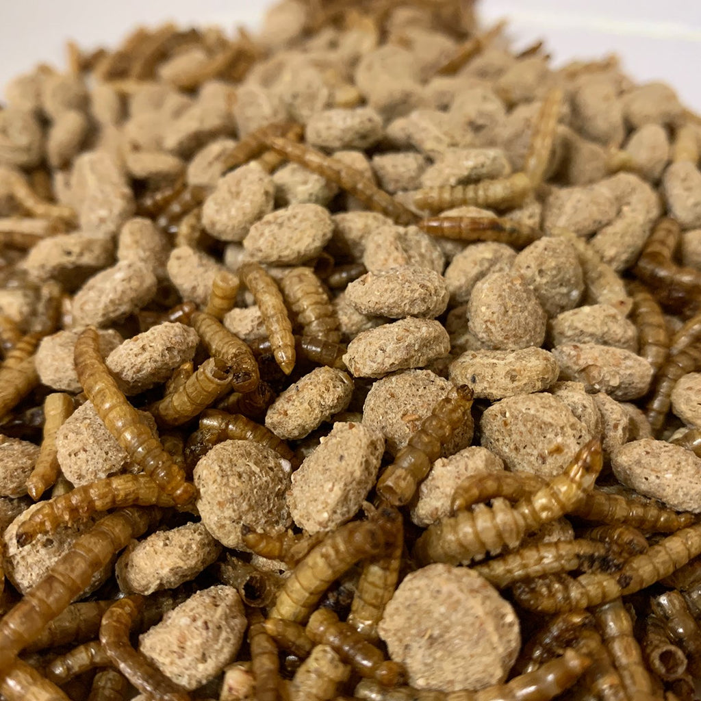 Floating Duck Pellets With Mealworms (150g) - Indoor Outdoors